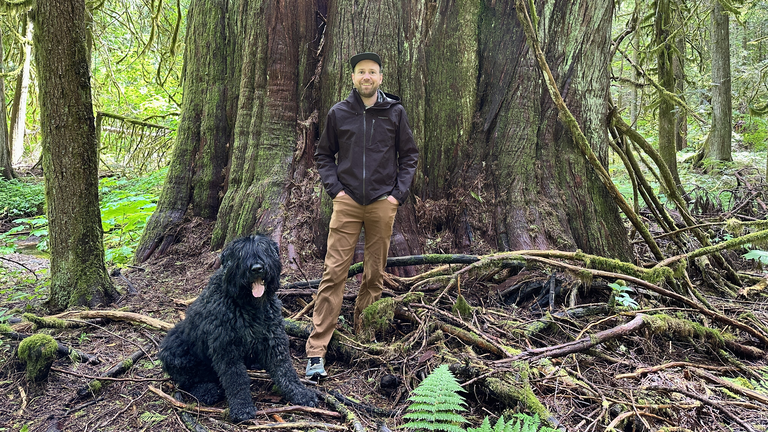 We’re Growing the Team! 🎉 - ProjectionLab